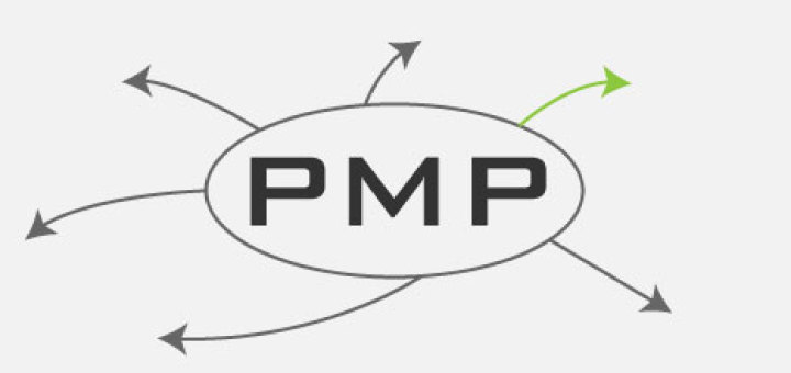 PMP Certification Essentials - The Project Management Plan (PM Plan ...